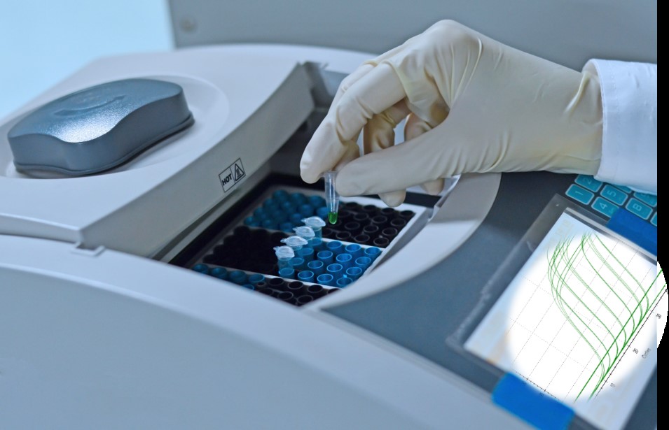 Site internet de l'UMR SECALIM - Brochothrix thermosphacta